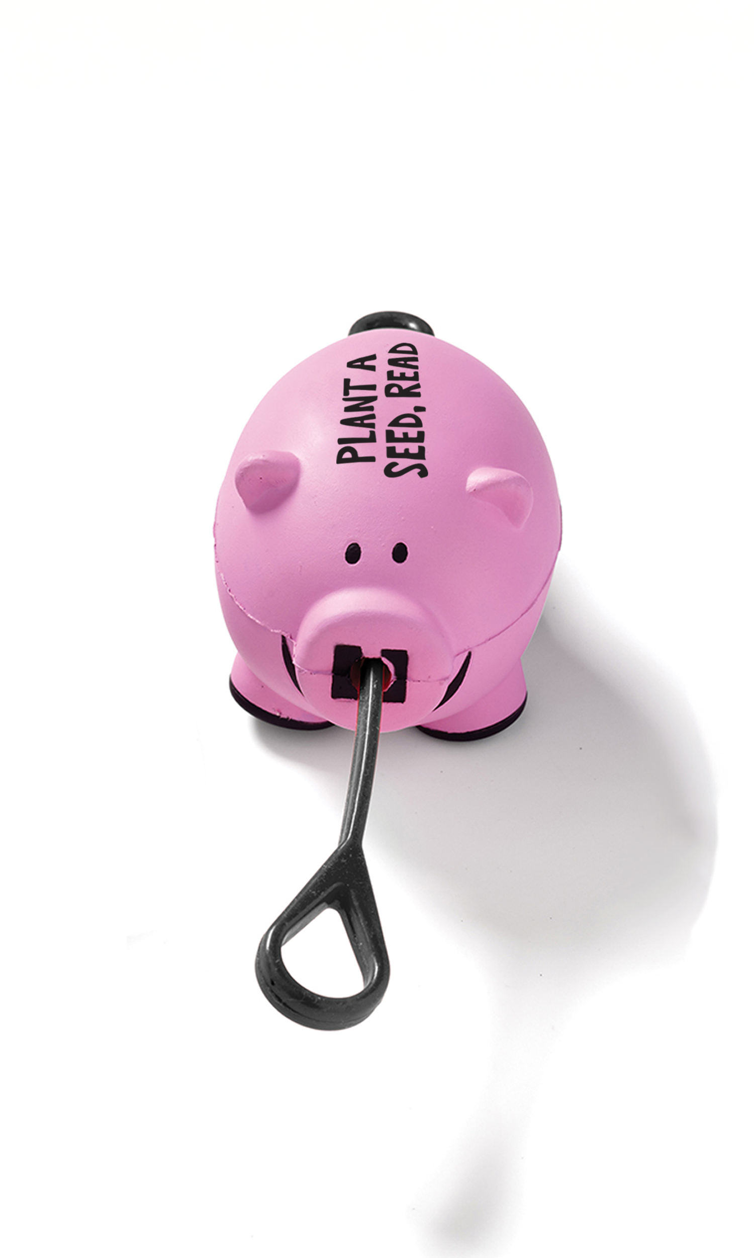 Slingshot Pig - iREAD: Reading Programs